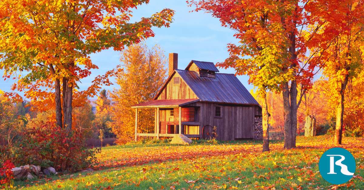 Plant These Trees for the Best Autumn Foliage